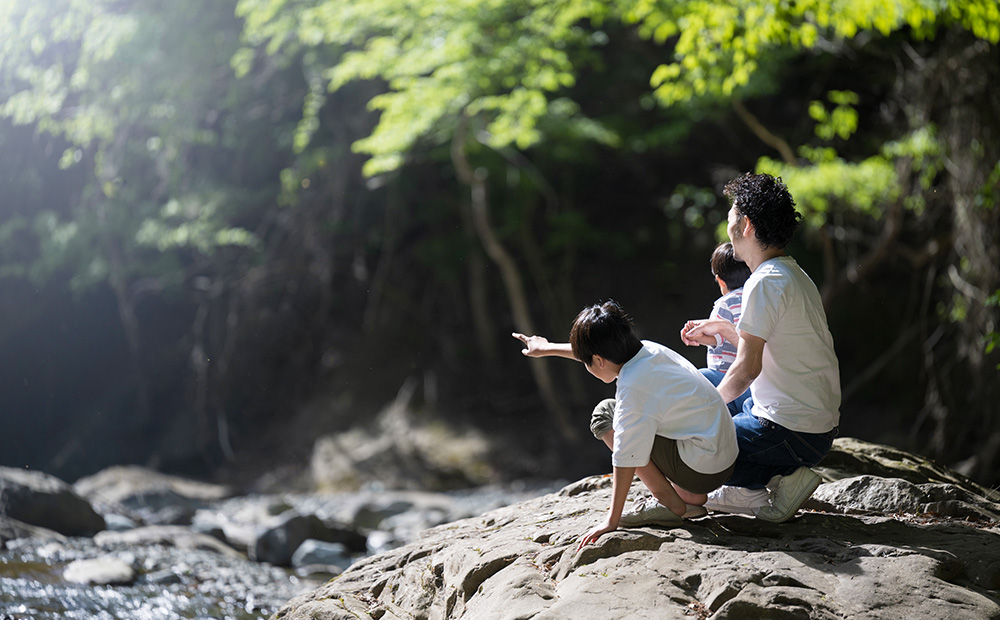 About Us | Photon Remediation